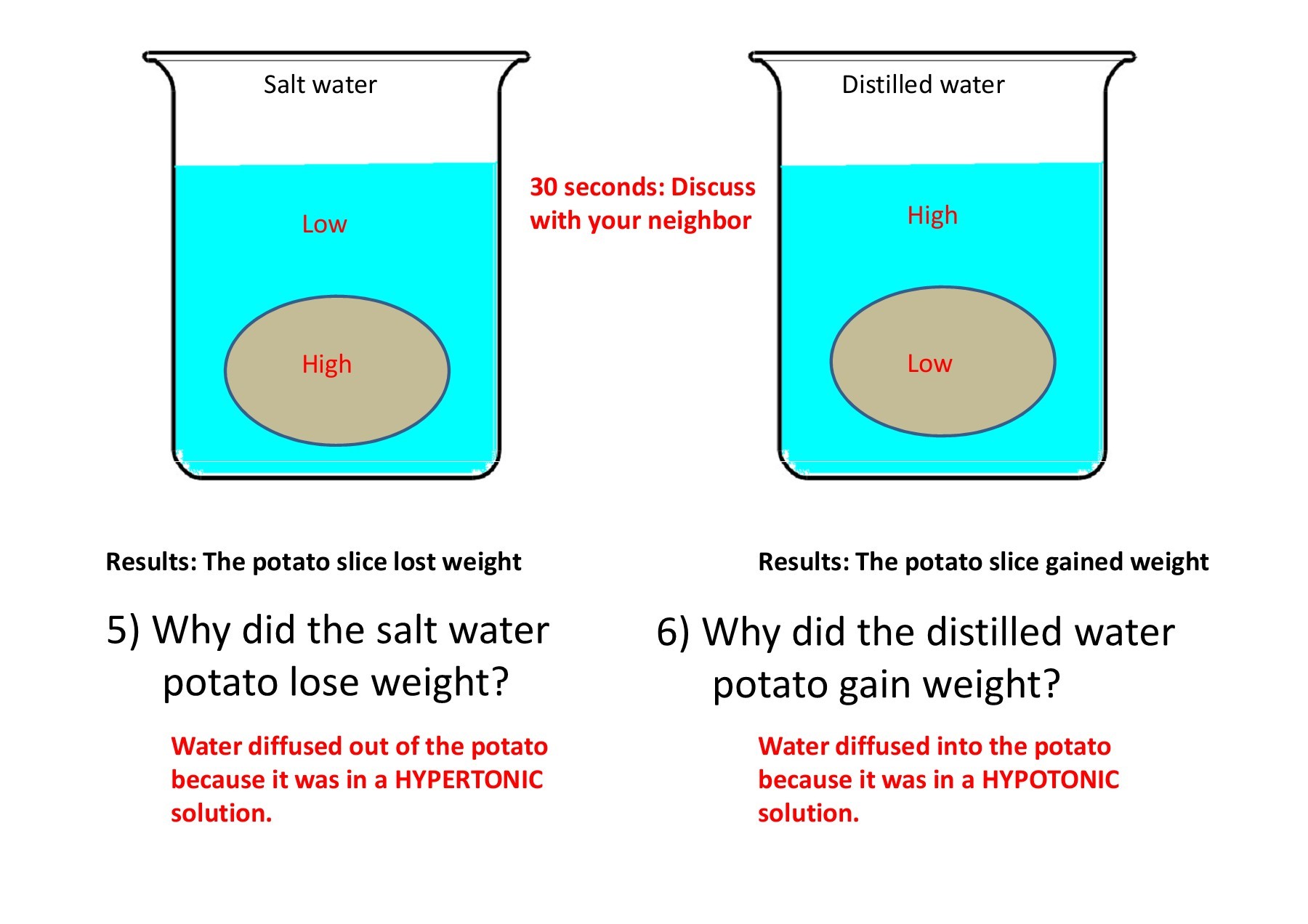 Hypertonic Potato Solved] 1. First Find The Part On The Standard Curve